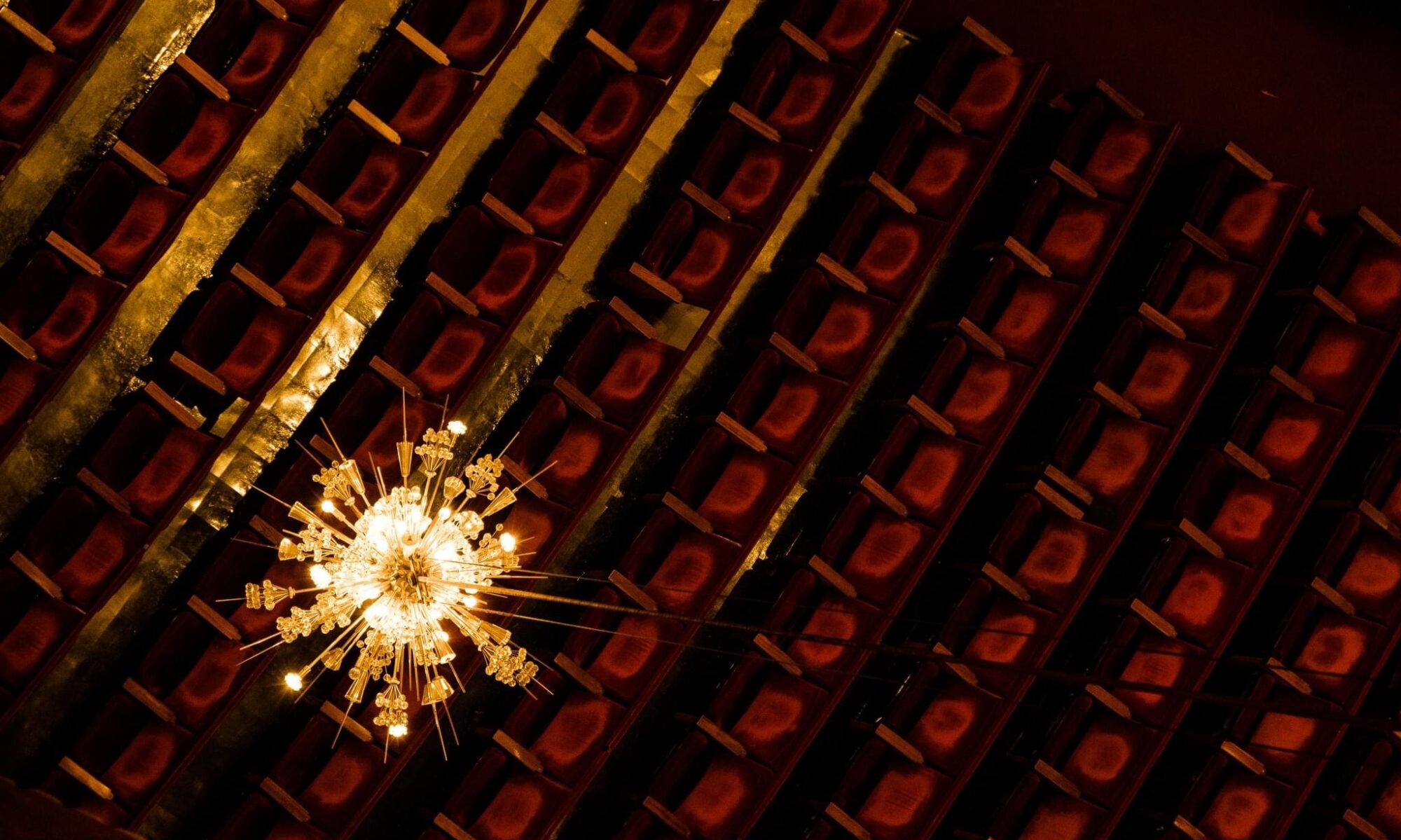 New York Star Artist Management